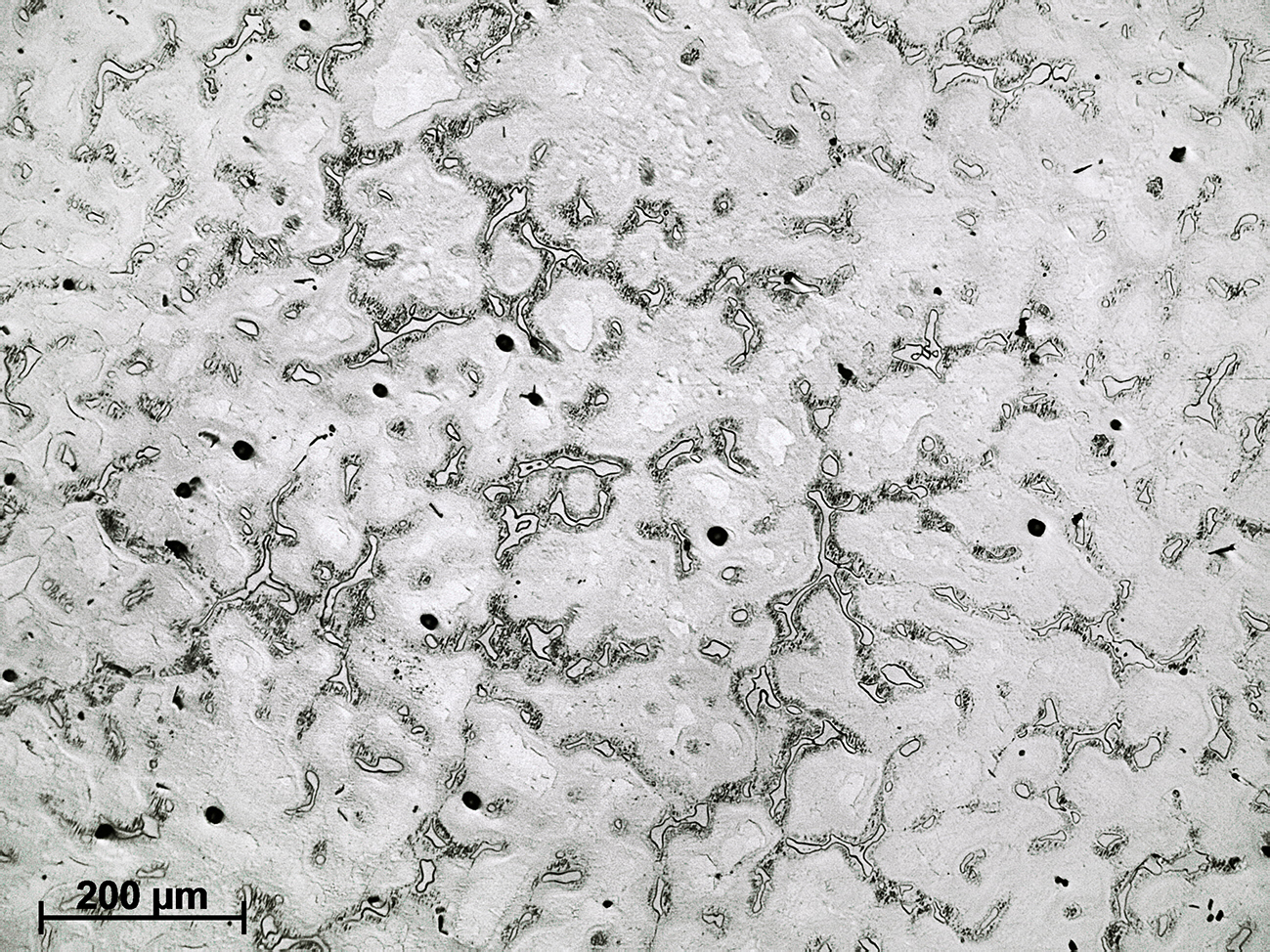AZ91 Mg-Al-Zn | Proyecto de Innovación Atlas Metalográfico