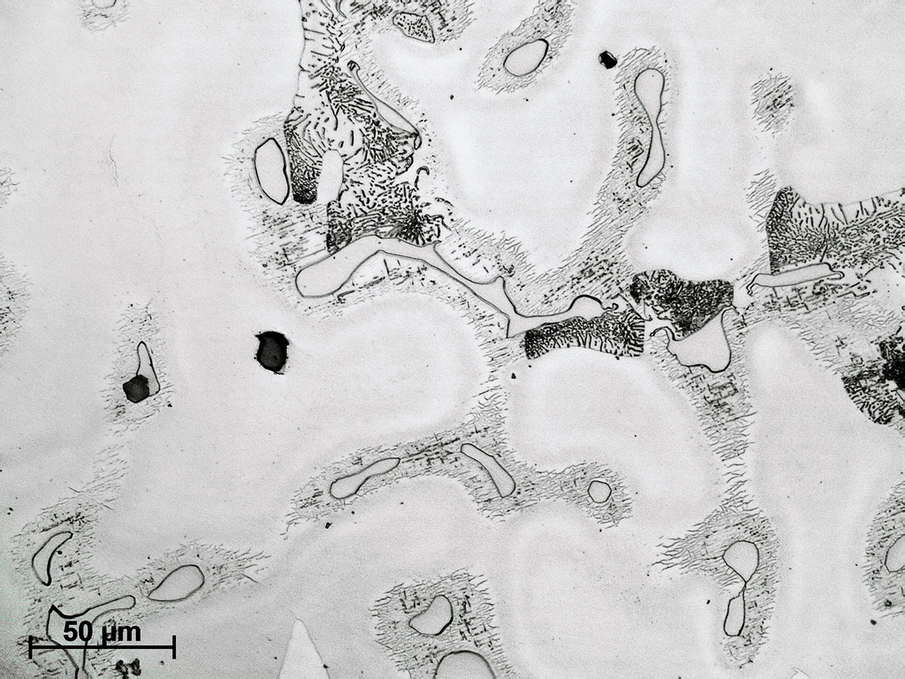 AZ91 Mg-Al-Zn | Proyecto de Innovación Atlas Metalográfico