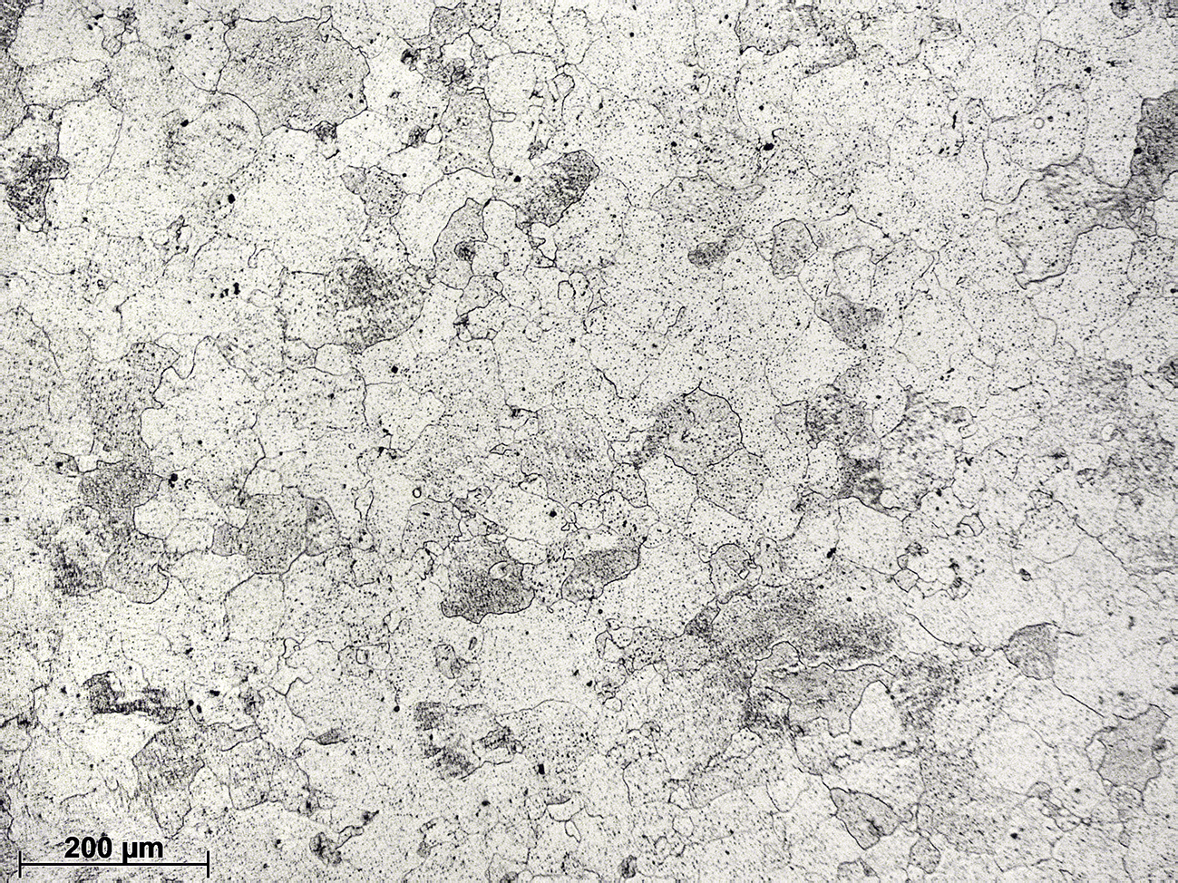 AC7 | Innovation Project Metallographic Atlas