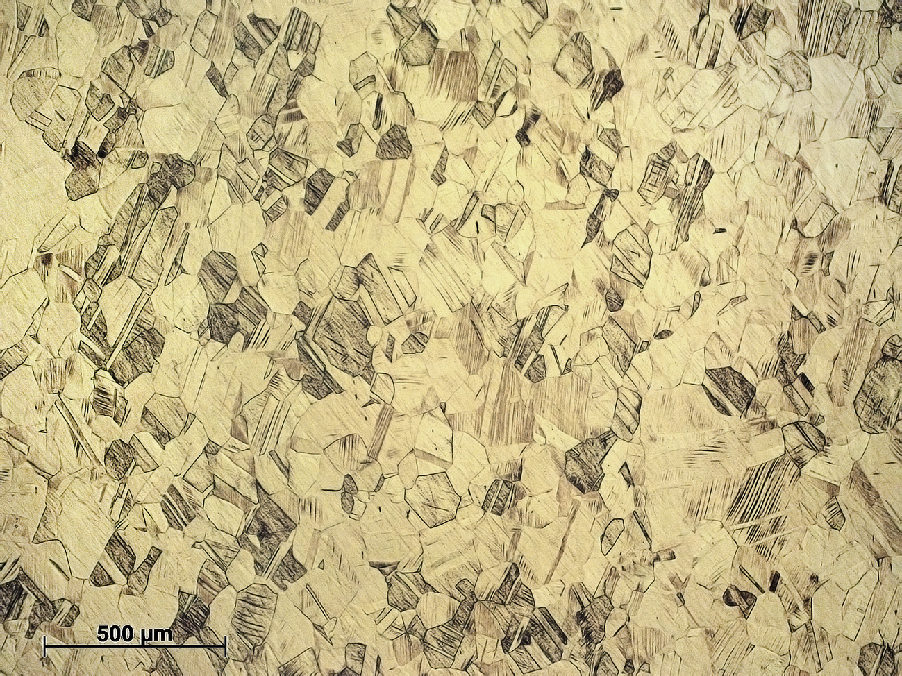X31 | Innovation Project Metallographic Atlas