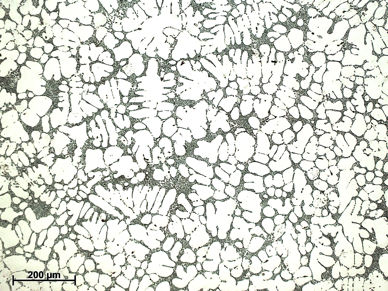 A356-M | Innovation Project Metallographic Atlas