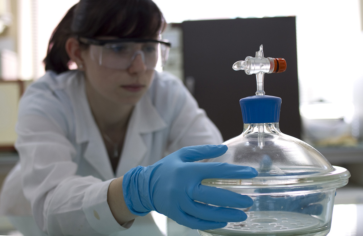 Undergraduate Programmes | Complutense University of Madrid
