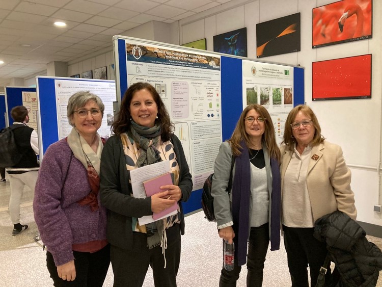 UCM - Máster Universitario en Biotecnología Industrial y Ambiental