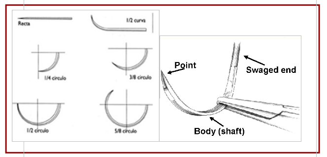 UCM-Departamento de Cirugía